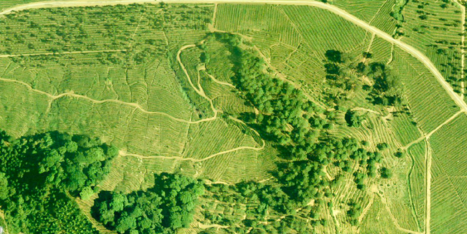 Sustainable and self-sufficient farms in Costa Rica - NATIVU blog