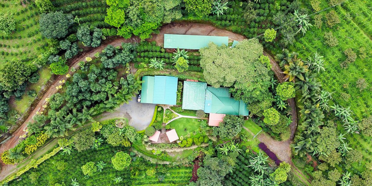 Fincas sostenibles y autosuficientes en Costa Rica - NATIVU blog