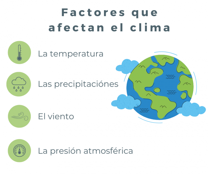 Microclimas en fincas en Costa Rica: ventajas y desventajas - NATIVU blog